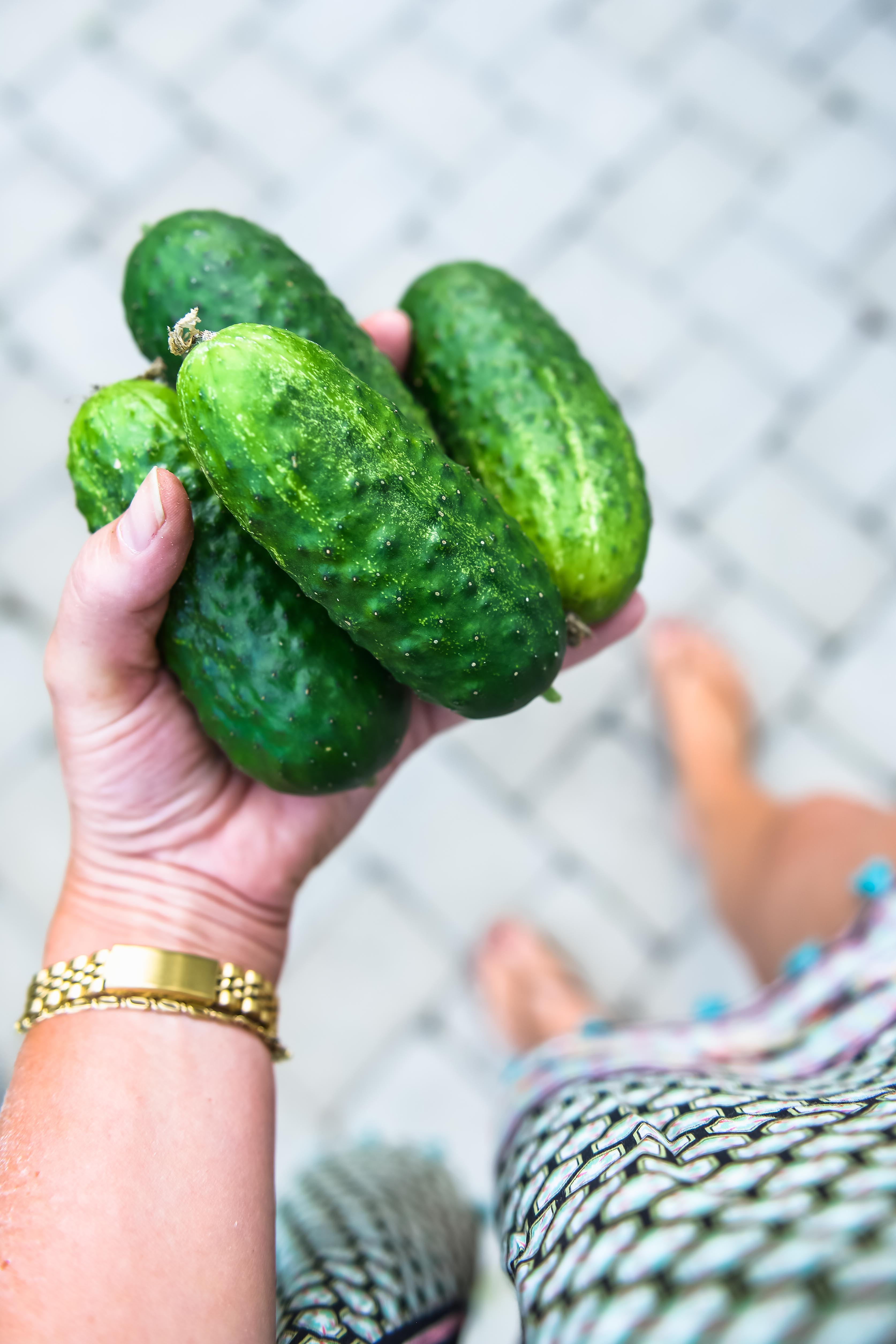 Recept snabbsaltad gurka – Drömhus